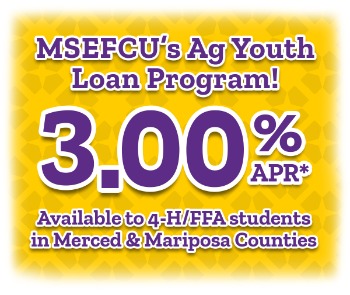 Ag Youth Loan Prgm | Merced School Employees Federal Credit Union